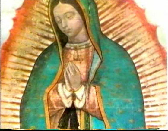 faceofprolife | AirMaria.com