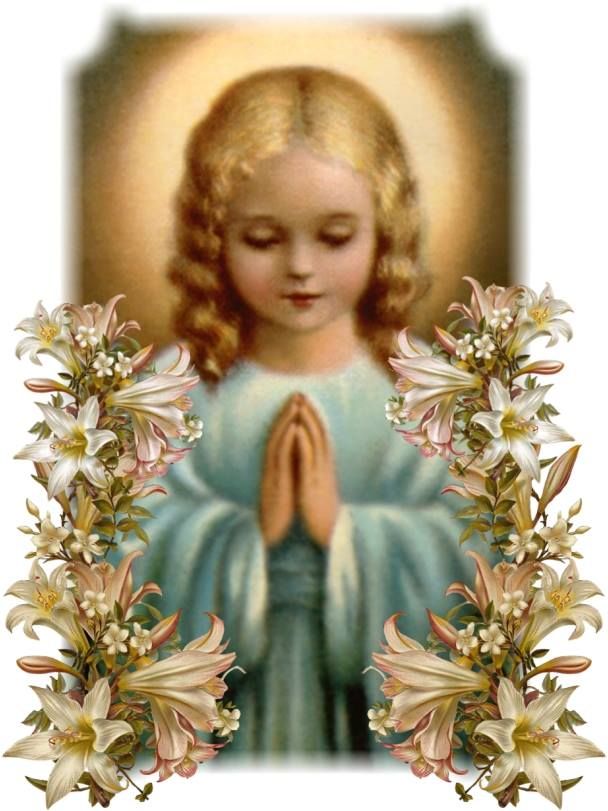 Preparing to Meditate on the Immaculata | AirMaria.com